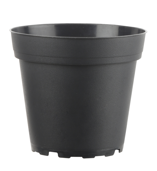 Two-Pot Combination