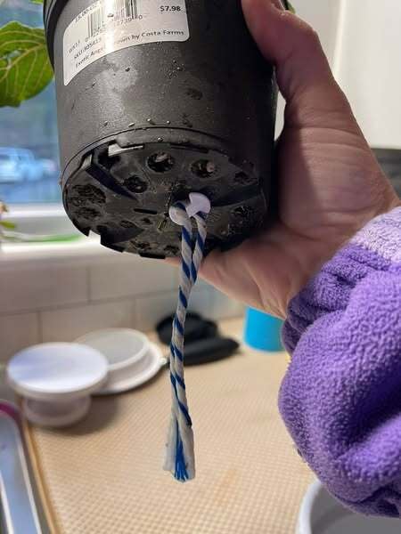 Wick & Grow Self-Watering Pots