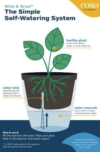 6-inch Wick & Grow Self-Watering Pots
